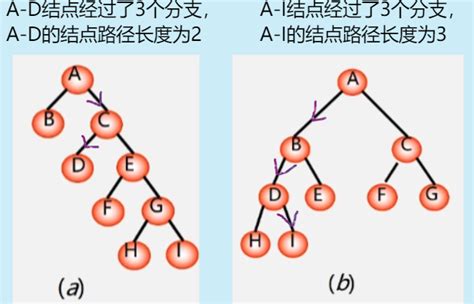 【数据结构（25）】5 7 哈夫曼树及其应用 给定叶子结点的个数以及对应权值 构造哈夫曼树 约定 序号小的做左子树 输出哈夫 csdn博客