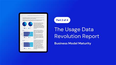 The Usage Data Revolution Report Part 2 Of 4 Business Model Maturity
