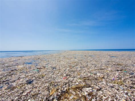 Plastic Island In The Pacific Ocean At Alicia Sustaita Blog