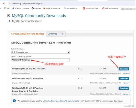 mysql与navicat安装教程 mysql和navicat安装 csdn博客