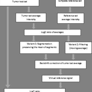 Algorithm Block Scheme Download Scientific Diagram