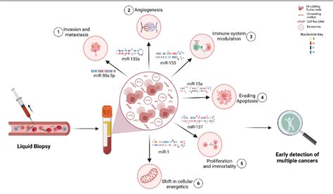 Figure 1 From Microfluidics For Profiling Mirna Biomarker Panels In Ai Assisted Cancer Diagnosis