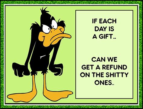 84 Best Daffy Duck Quotes Images On Pinterest Hilarious Quotes