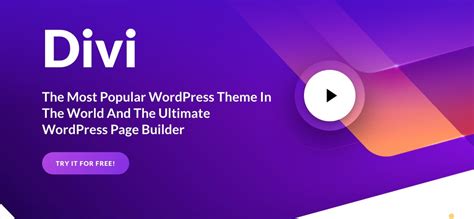 divi theme