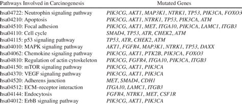 Mutated Pathways In Breast Cancer Download Scientific Diagram