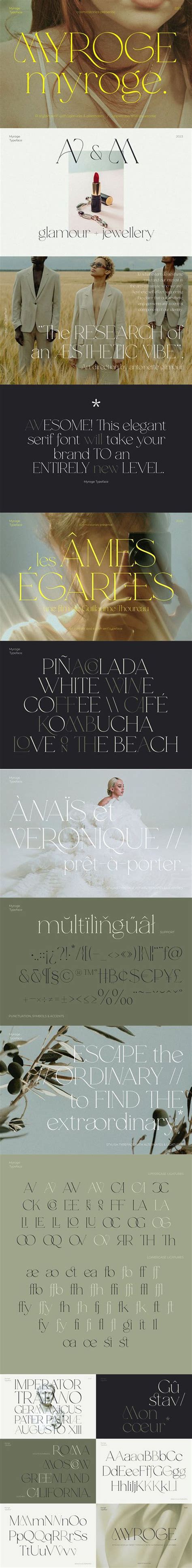 myroge elegant fragile serif font elegant serif fonts serif serif