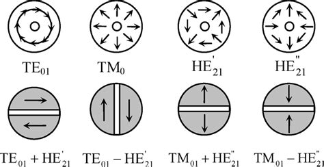 Schematics Of Vector Modes Of TM TE HE And HE And Their Download Scientific Diagram