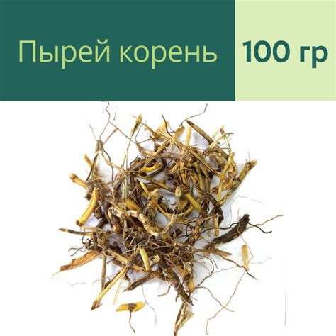 Пырей ползучий корень (Горный Крым) (100 гр) - Заготавливаем лучшее ...
