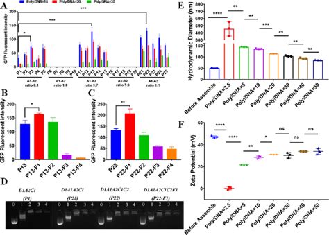 The Effect Of Fluorination Of Pbae Polymer On The Size Charge And Download Scientific Diagram
