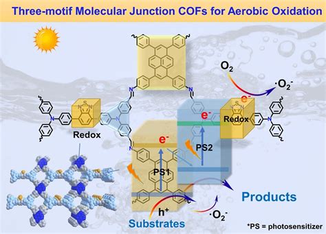 华南师范大学兰亚乾 路猛：三基元分子结共价有机框架用于光催化好氧氧化反应 X Mol资讯