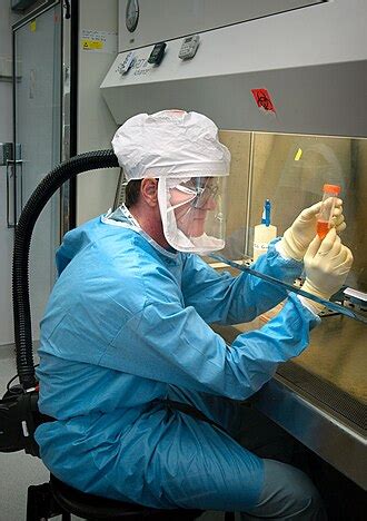 Biosafety Cabinet Wikipedia