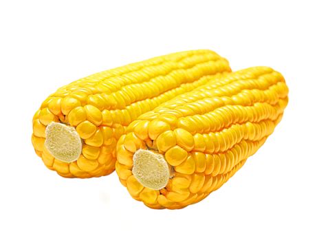 Corn Png Image