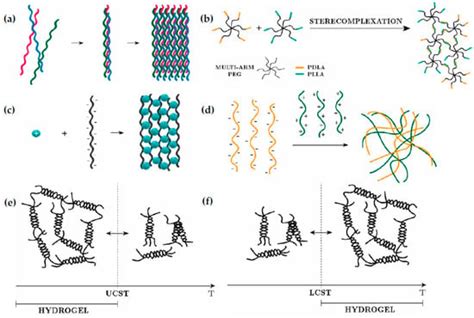 Research Progress In Enzymatically Cross Linked Hydrogels As Injectable