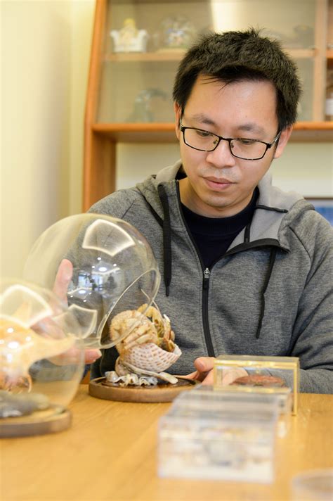 手工制作标本简单西服大山谷图库