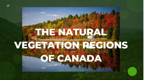 Natural Vegetation Regions Of Canada Geography Powerpoint Presentation