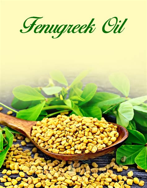 Fenugreek Oil Indira Imports