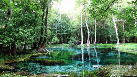 Naked Spring Photograph By Wondering Eye Fine Art America