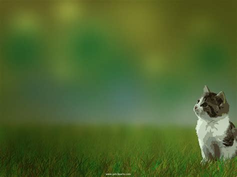 Cute Cat Wallpapers Hd