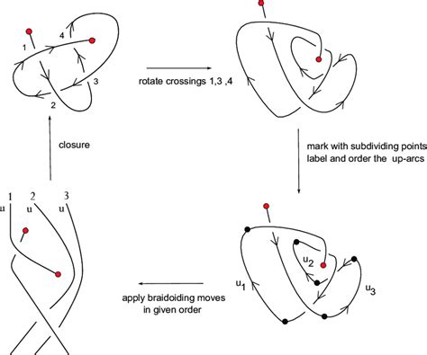 Applying The Braidoiding Algorithm Download Scientific Diagram
