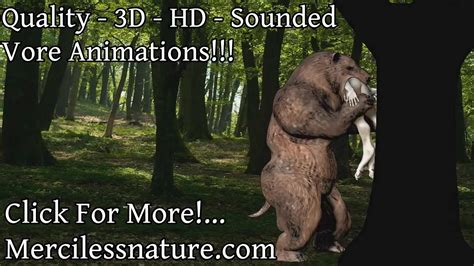 Bear Swallows Wolf Thisvid Com