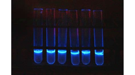 New Assay Accelerates E Coli Testing Process Morning Ag Clips