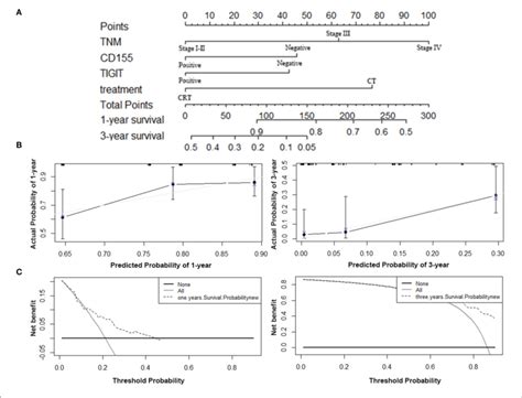 Nomogram Calibration Plot And Decision Curve Analysis Of The