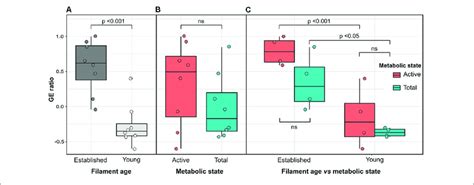 Variation Of The Gamma To Epsilonproteobacteria Ratio Ge Ratio