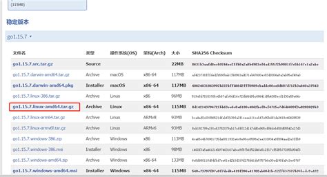 centos安装go语言步骤及示例 constos 如何安装 go 语言 csdn博客
