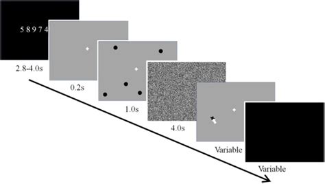 Dual Verbal Spatial Working Memory Task Download Scientific Diagram