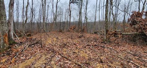 Rush Ky Real Estate Rush Homes For Sale ®