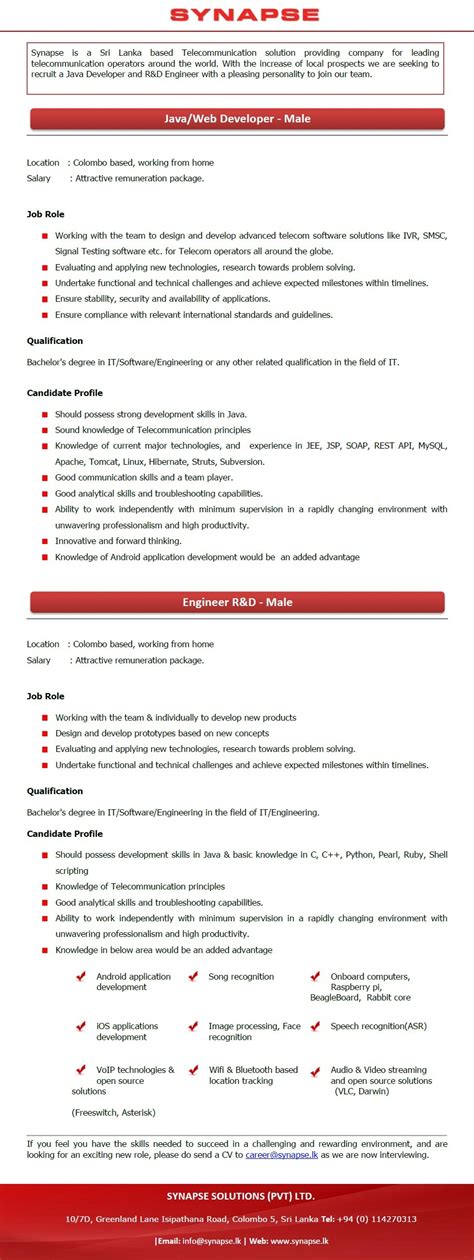 Java Web Developer Male