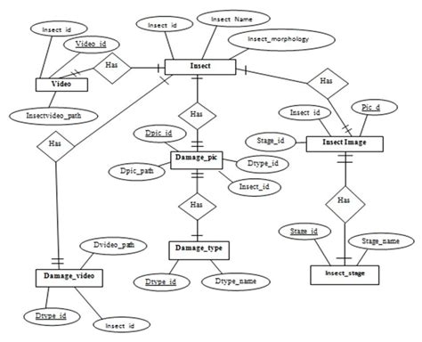 Entity Relationship Diagram Of The Web Based System Developed Download Scientific Diagram
