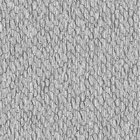 Spruce Tree Bark PBR Texture