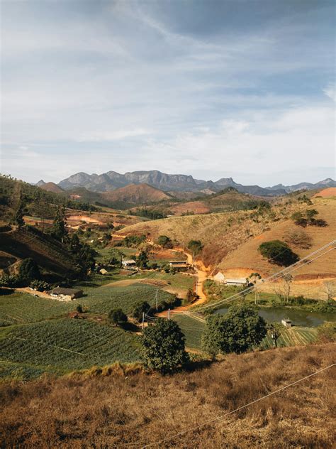경치 경치가 좋은 고립된 고요한 골짜기 구름 녹색 농경지 농업 농지 농촌의 들판 들판 울타리 때묻지 않은 롤링 힐스 목가적인 목가적인 환경