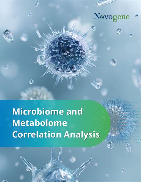Microbiome And Metabolome Correlation Analysis Novogene