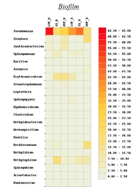 How To Add A Colour Legend Onto Heatmap In R