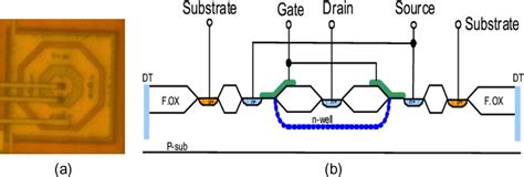 A Layout And B Cross Section Of A Hv Nmos Transistor Implemented In