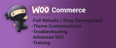 Do Wordpress Woocommerce Fixes And Customization By Mhamzaahmed Fiverr