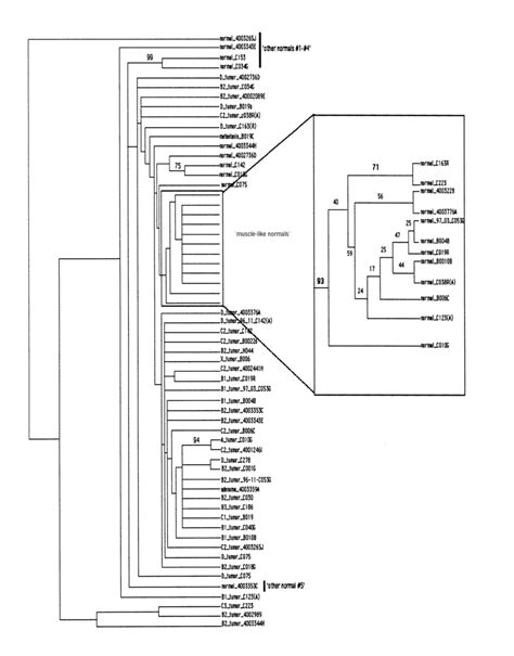 Hierarchical Clustering Of The Alon Et Al 1999 Dataset With