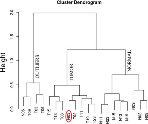 Clustering Of All 20 Samples Using All The 765 Splice Events With Download Scientific Diagram