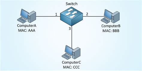 Building A Local Area Networklan With Hubs And Switches Enablegeek