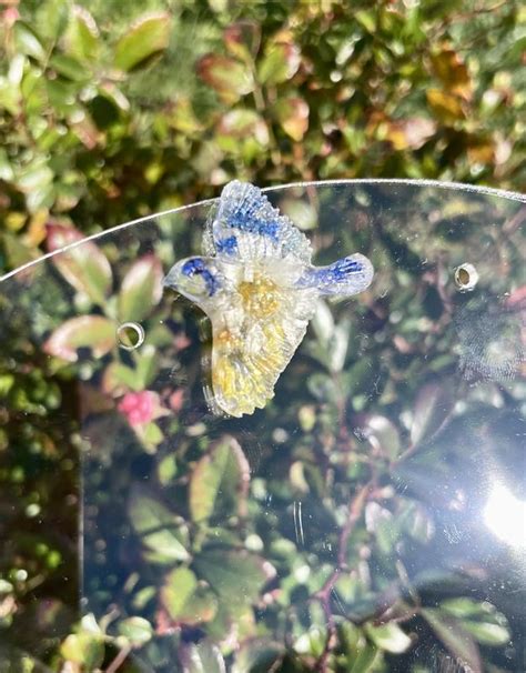 Брошка патріотична пташка — ціна 250 грн у каталозі Брошки Купити аксесуари за доступною ціною