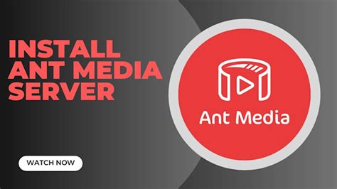 Setup Ant Media Live Streaming Or Vod On A Vps And Configure Of Your