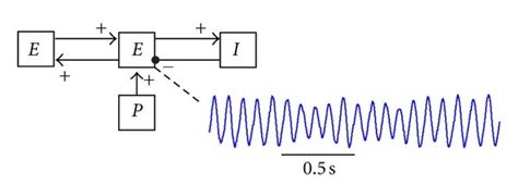 Neural Mass Models A A Diagram Of The Model Of A Cortical Unit Download Scientific Diagram