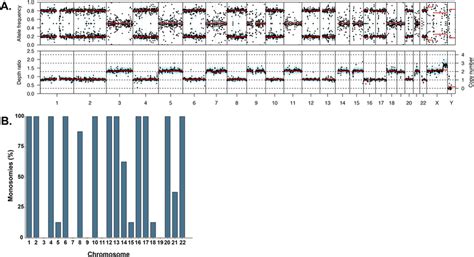 a example b allele frequency plot showing retention of heterodisomy