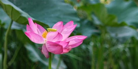 A Call For Syslog Ng Testing Blog Syslog Ng Community Syslog Ng