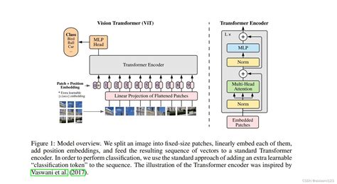 【论文阅读】vision Transformer 模型详解vision Transformer模型 Csdn博客