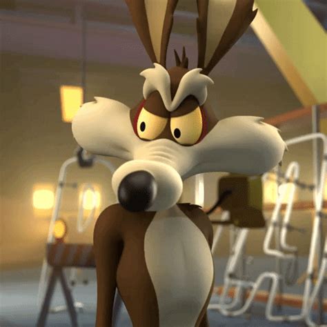 Wile E Coyote S