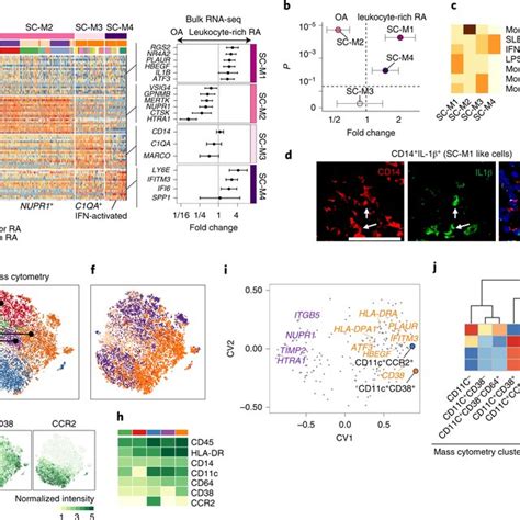 Correlation Between Bulk Rna Seq Expression And Proportion Of Non Zero Download Scientific