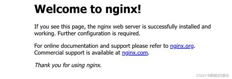 Nginx Nginx Csdn
